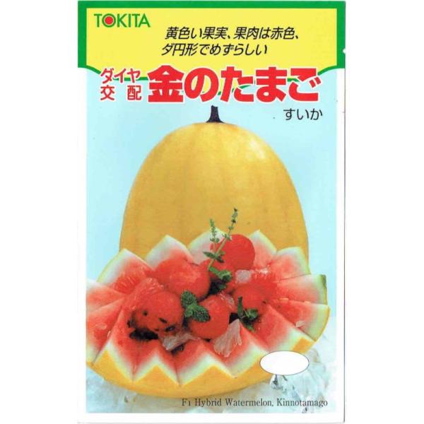 果重2.5〜3kg、果形は長楕円で果皮は鮮やかな黄色、果肉は鮮紅色で果皮とのコントラストがきれいです。肉質はしまり、シャリ感があり、切った時の香りが強く食味が優れます。草勢強く、葉柄、葉脈、果梗などは黄白色になります。外皮が硬く、割れ、鳥害...