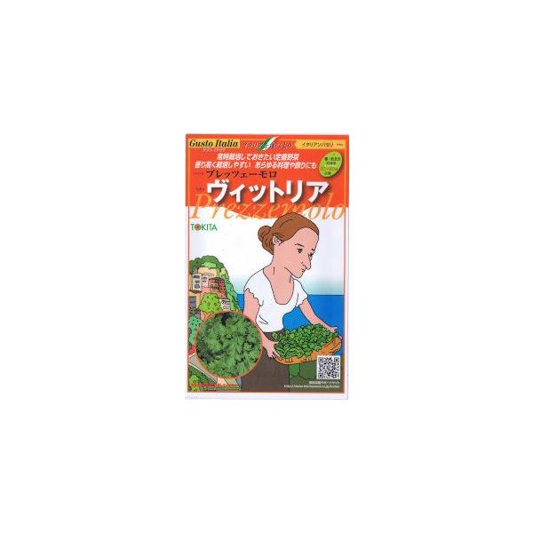 平らな葉が特徴的なパセリ。冬になると開花するので株を更新する他は、通年で栽培できる。キッチンの片隅におけば、少量づつ摘み取って利用可能。