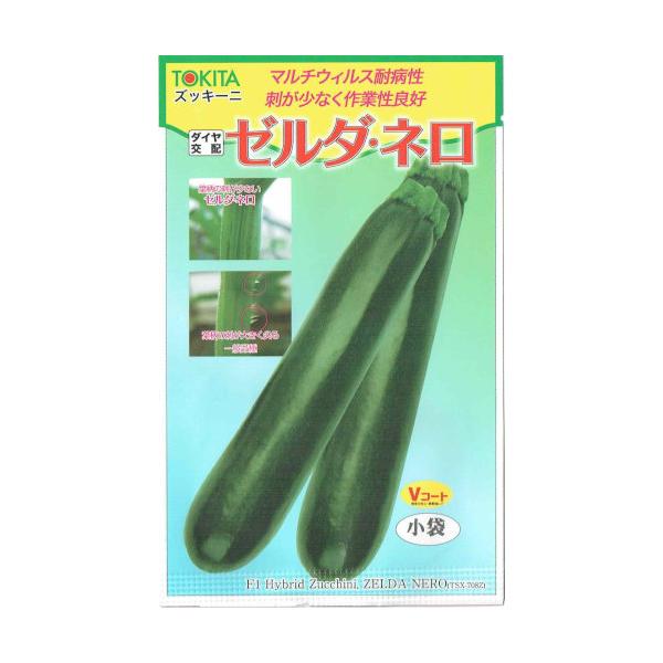 果長20cm前後、太さ2.5〜3cmの均等な円筒形。果色は、極濃緑色で光沢がる。花落ちは小さく、肉質は緻密で高品質で多収。生育は早く、草姿はブッシュタイプで節間つまり、ウイルス病（ZYMV、WMV、CMV）に対して強く、栽培しやすい。