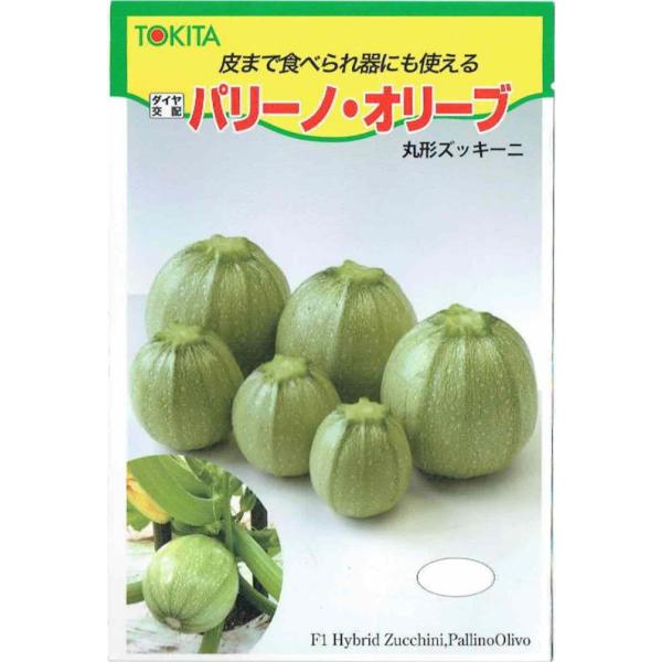 かわいい丸形のズッキーニ、果実色はライトグリーン色。開花後3〜5日後の果実直径7〜8cmで収穫。収穫の遅れは果実への傷や樹への負担になるため適期収穫を心掛ける。生育初期から草勢が安定し雌花、雄花がバランスよく開花して次々に果実が収穫可能。ウ...