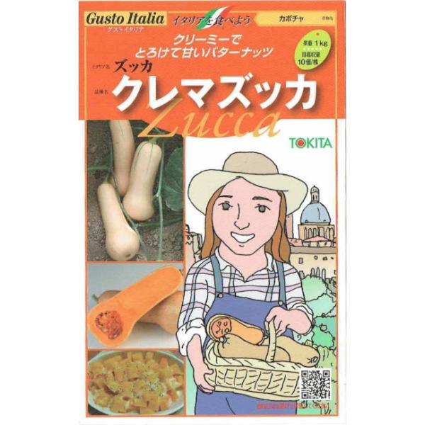 果重は1kg前後で果皮はつやのある黄褐色。果肉は濃いオレンジ色、肉質は粘質で甘味があり食味良く、貯蔵性に優れる。<br>高温時でも草勢が強く露地栽培で作りやすい。交配後約40日、果皮がつやのある黄褐色になった頃が収穫の目安。