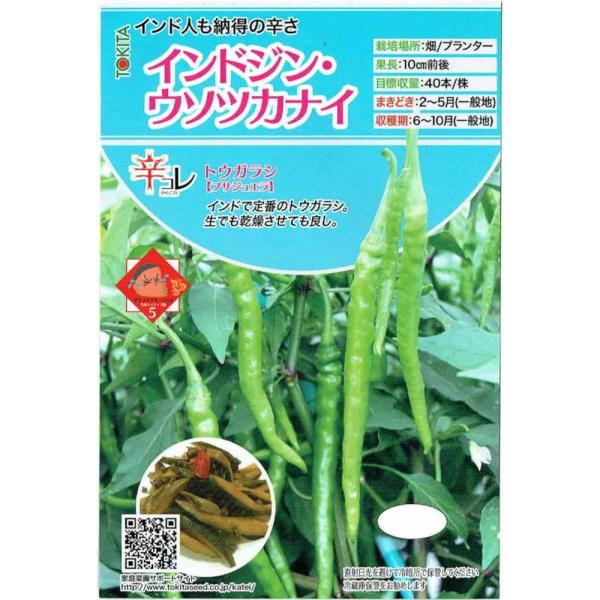 生のまま箸休め的にかじって食べるカレーの味付けにインドで一番多く使われている種類の品種インド人も納得の辛さワタ部を除くと辛みはやや和らぐが、果肉もやや辛い