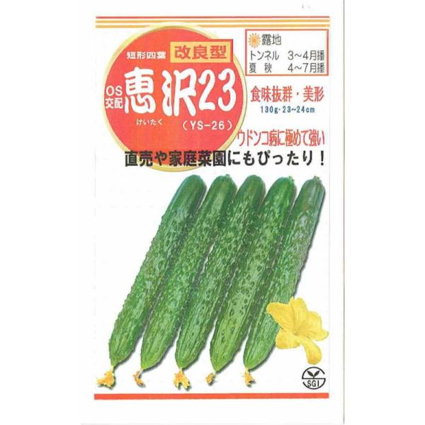 美しい果形円筒形で首、肩のまとまり良い。揃いも極めて良好。濃緑で光沢が良く、皮はトゲ、シワとも密で柔らかい。100gで21〜22cm、130gで23〜24cm。食味抜群果肉の締り良く、風味、歯切れがとても良く日本人好み。浅漬けはもちろん、サ...