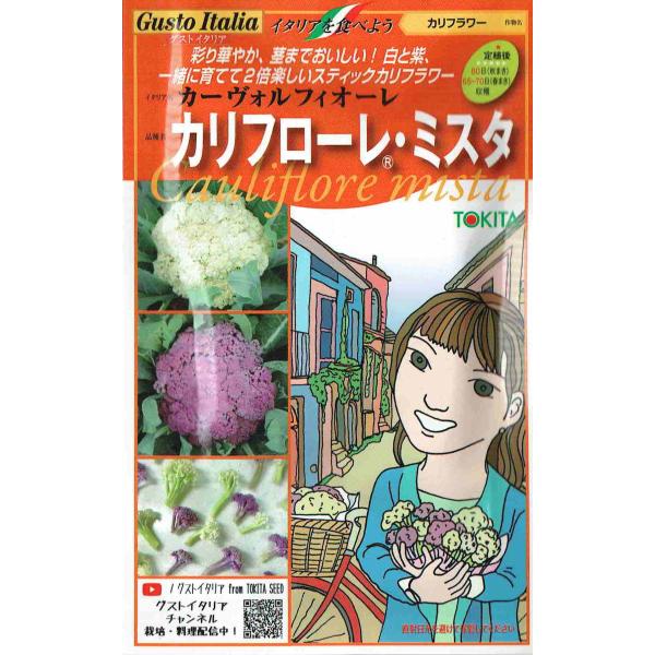 草勢極強、栽培容易。定植後80日(秋まき)、 65〜70日 (春まき)目安で収穫可能。カーヴォルフィオーレの種子,カーヴォルフィオーレのタネ,かーぉるふぃおーれの種子,かーぉるふぃおーれのタネ,カリフローレ・ミスタの種子,カリフローレ・ミス...
