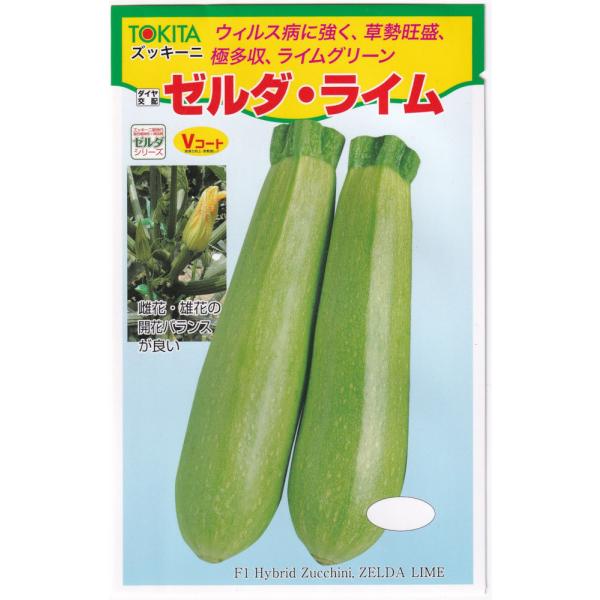 果実は円筒形でライムグリーン色。長さ20cm前後までに収穫。ウイルス病(CMVZYMV)に対して強く、栽培しやすい。生育初期から後半まで草勢が強く安定し、高い収量が期待できる。高温期も雌花・雄花バランスよく発生し、着果良好。青果販売ではゼル...