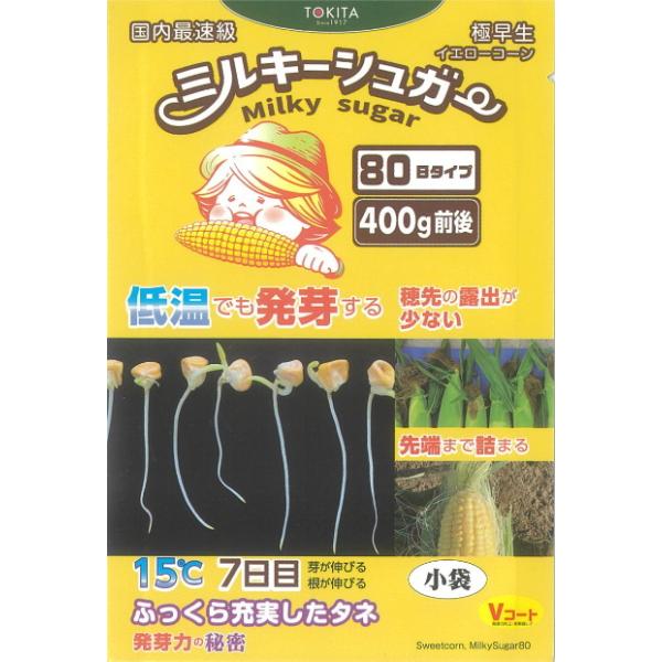 播種後80日目安で収穫できる極早生性品種。穂の大きさは極早生品種でありながら400g前後で収穫も可能。低温期も発芽力があり、低温期に播種する作型に最適。粒の皮が柔らかく高糖度なので食感・食味ともに高評価。先端不稔は他品種に比べ発生しにくい。...