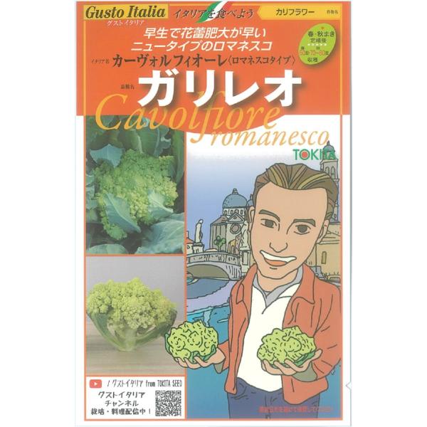 ●早生で花蕾肥大が早い：生育旺盛で3月下旬定植では60日程度で収穫が期待できる。花芽分化が早く、気温があれば花蕾が肥大するので秋作でも早くから収穫ができる。●利用法が広がる新形状：フラットな形状で、房ごとに分けやすい。一般的なロマネスコとは...