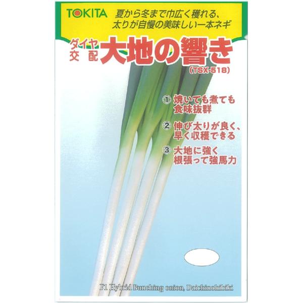 伸長性を追求したF1品種で定植後短い栽培期間で出荷規格に到達する。極めて草勢が強く、酷暑期の発根の衰えが少ないので、土壌病害や生理障害による株の抜け落ちが少ない。濃緑の黒柄系品種であるが従来の黒柄より低温伸長性が強く秋冬どりに好適。ネギの種...