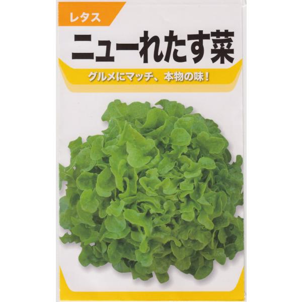 重量は300g前後でコンパクトな草姿。極晩抽性。ベト病耐病性品種。葉は切れ込みの大きい細葉、葉先は丸い。葉色はグリーン。葉枚数が多く、適期収穫で50枚程度になる。播種/収穫適期幅が広く、周年栽培が容易。葉をカットせずに1枚そのままサラダ等に...