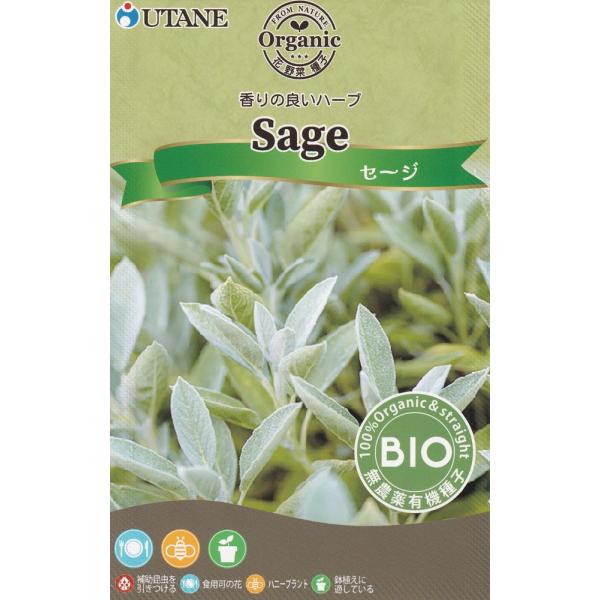 育てやすい多年草で、たくさんの葉と花が益虫を引き寄せます。料理や薬用ハーブとして栽培されています。セージの種子,セージのタネ,せーじの種子,せーじのタネ