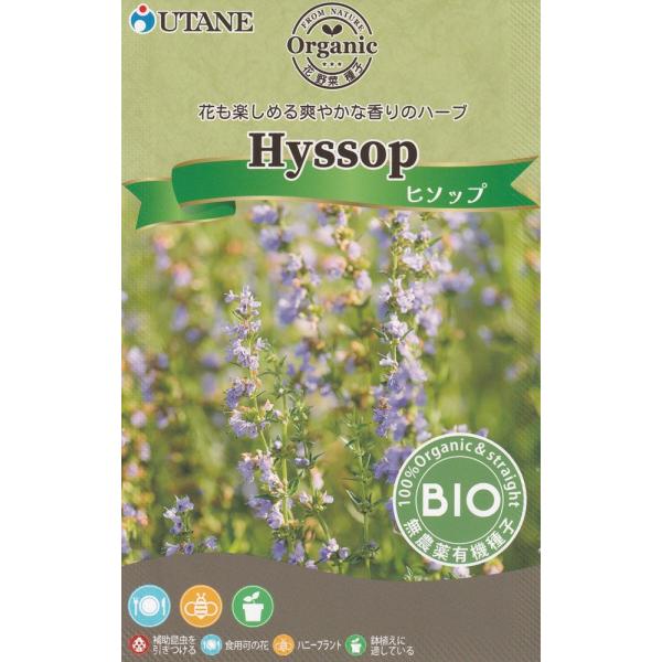 多年草、ミントに似たすっきりとした清涼感のある香りと、ほろ苦さが特徴です。葉は料理やハーブティー、花は飾りやハーブティー、茎はポプリやアロマなどに使われます。ヒソップの種子,ヒソップのタネ,ひそっぷの種子,ひそっぷのタネ