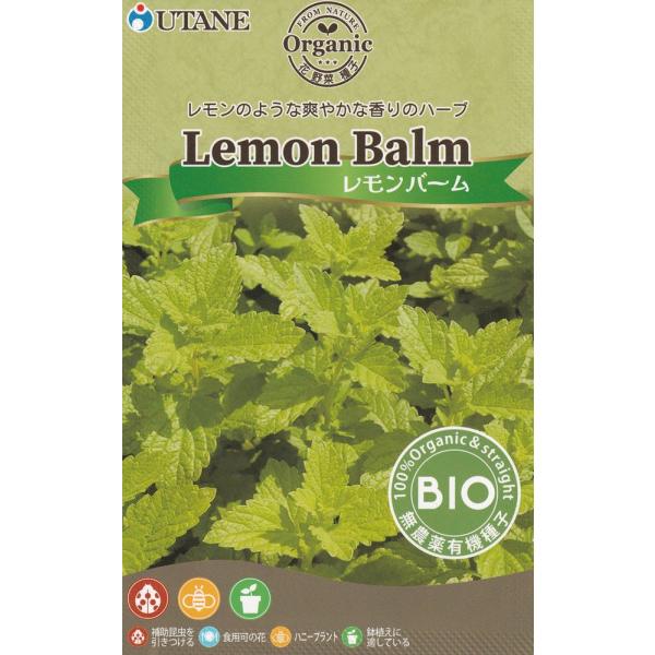 レモンバームは、食用または薬品植物として、またミツバチの牧草として栽培されています。活発な房を形成する多年草。丈夫でお手入れも簡単。半日陰でも日当たりの良い場所でも育ちます。レモンバームの種子,レモンバームのタネ,れもんばーむの種子,れもん...