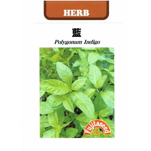 藍の原料を取る植物として、最も古くから用いられて来た染色材料の一つです。染色には生葉染め、乾燥葉染め、すくも染め等の方法があります。葉の収穫は、梅雨明け後、夏場に約2回行えます。9月頃に穂の先に薄紅色、白色の小花を咲かせます。結実は11月頃です。