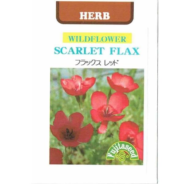 中央アジア原産のアマ科の一年草。冷涼な気候で日当たりと水はけの良い場所を好みます。茎から採れる繊維は主に織物のリネンとして利用されています。種子から採れる亜麻仁油は家具のつや出しなど工業用に使われます。平らな光沢のある種子は、浴剤にすると肌...