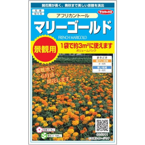 花径約8cmのアフリカントール系大輪品種です。草丈は約1mに伸び、水揚げ、花もちがよく、切り花としての利用もできます。オレンジやイエローの混合で、花壇に植えると存在感が際立ちます。<br><br>[【種子】][【花】...