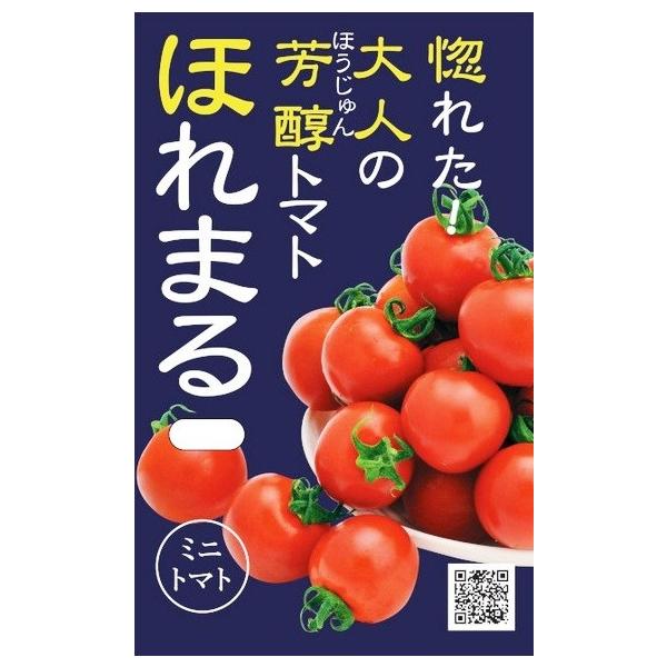 今までにない新食感のミニトマト。果皮の歯ざわりが良く、ゼリーが少な目なので、サクサクととした食感が楽しめる。味は濃厚で甘みがある。裂果は比較的少ない。果重25g程度に揃うが、低段では果実がやや大きめとなる。