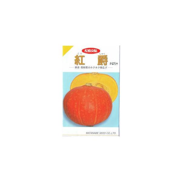 赤皮種としては最高の粉質で、食味が良いです。草勢は強めで、葉も大きめです。果色は朱紅色で、果重1.8kg前後、果形はハート形です。開花後45〜50日くらいで収穫期に達します。収穫後2〜3ヶ月程度の貯蔵ができます。皮ごと加工に使うと、赤色が強...