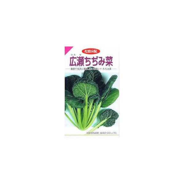 耐寒性耐暑性に優れ、周年栽培可能なちぢみ菜です。草姿は立性ですが、低温期はやや開帳となります。葉は濃緑で光沢があり、ちりめん状に縮みます。夏栽培では播種後30日位、秋まきでは45〜50日で収穫期に達します。葉肉厚く歯ざわり良く、おひたし、炒...