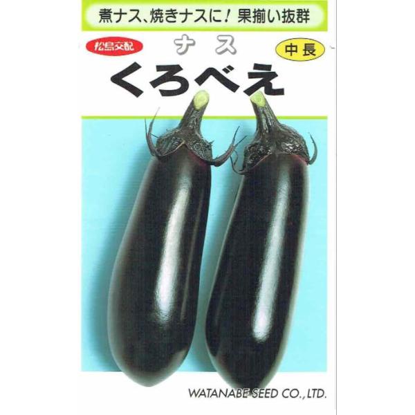 草勢が強く、草姿は立性、着果数が多く、早期及び長期にわたり多収です。果は中長でヘタが大きく、煮ナス焼きナス用の大果でも果形が乱れません。果色は濃い黒紫色で光沢、日持ちが極めて良く、市場性が抜群です。