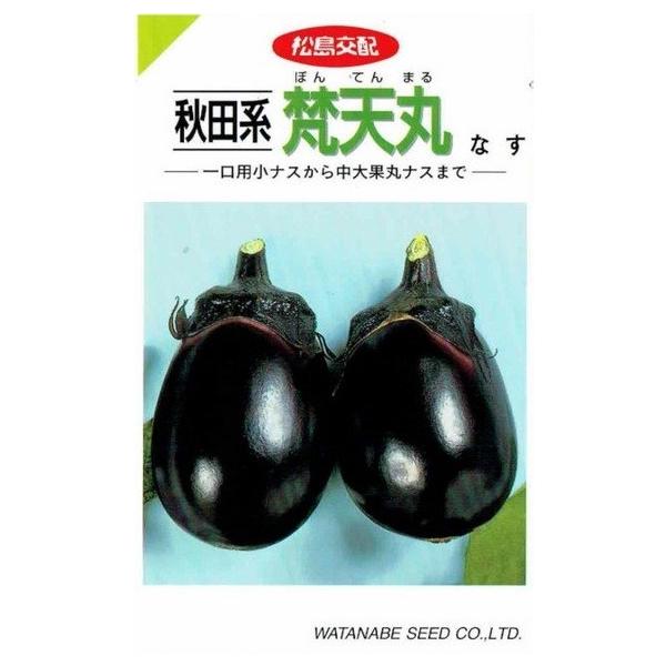 草勢は中位で草姿は開帳性、葉はやや細い中葉系です。丸茄子としては着果数も多く、多収性の早生種です。果は丸形で浅漬け用の小茄子どりから煮ナス、焼ナス用の中大果まで収穫可能な品種です。果皮は色つやが良く、果形の乱れがほとんどなく、常に上物が得ら...