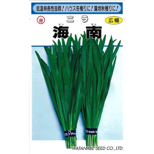 休眠は極めて浅く、低温伸長性が非常に良く冬期施設栽培には最適です。分けつはやや少ないので定植本数は1株5〜6本が適当です。露地栽培の秋収穫にも好適です。ハカマが長くしっかりしており、刈り取り結束作業が楽で効率的です。ニラの種子,ニラのタネ,...
