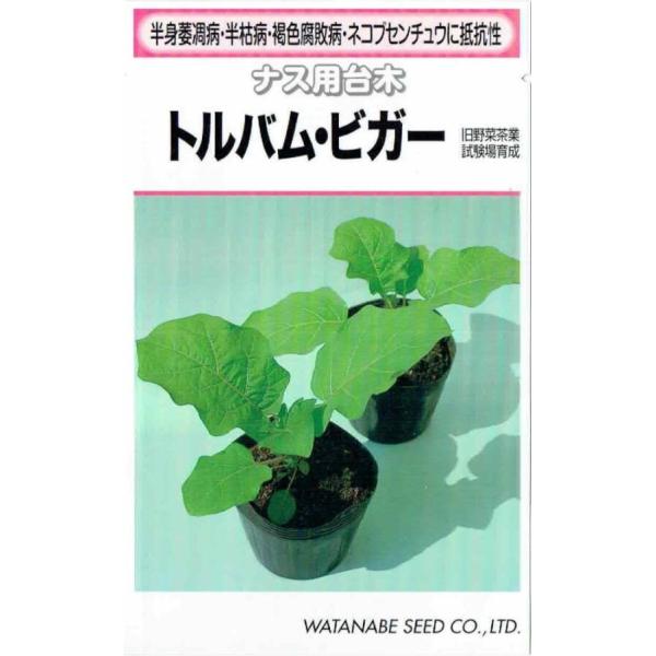 半身萎凋病・半枯病・褐色腐敗病・ネコブセンチュウに抵抗性、青枯病にも強いです。特に半身萎凋病には最強の抵抗性を示します。根張りが良く、高温乾燥下でも長期の多収が可能になります。