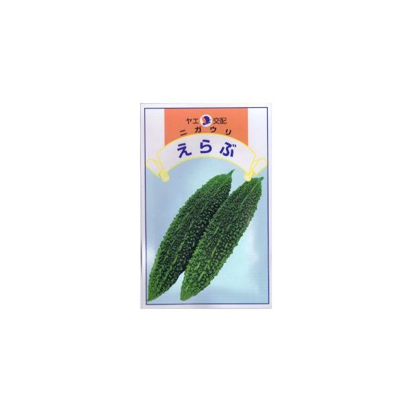 葉は中葉で濃緑。草姿は旺盛で持続性があり、収量性に富む。果皮色は艶のある濃緑色になり、縦状イボは短く切れ、イボ表面は丸みを帯び出荷の痛みが少ない。果長は30cm前後、果重は300g前後とやや胴太りするボリューム感ある果実になる。（出荷目安と...