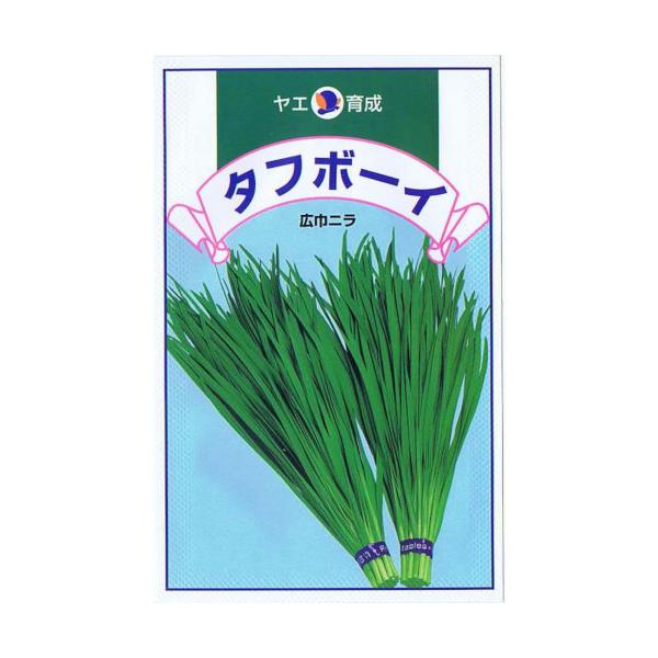 耐寒性および耐暑性があり、冬期の休眠がなく、また再生が早いので収穫サイクルが短い多収性の品種です。分けつ数は多く、収穫を重ねても広い葉幅が維持され、草姿は立性で、ハカマの部分が長く、葉先のなびきが極めて少ないです。葉肉は柔らかく肉厚で、葉色...