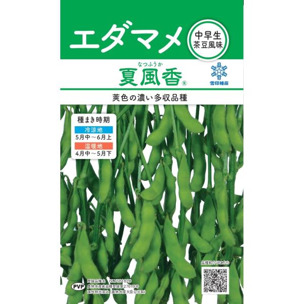 茶豆の風味・甘みがあり食味は良好大莢で、茶豆風味のエダマメの中では莢色濃い。