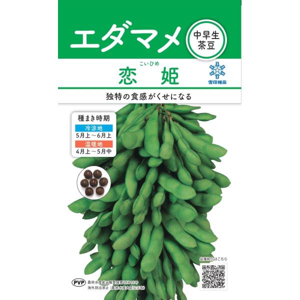 大莢で太りが良く、ボリュームがある花数が多く莢つきが良いため、たくさん採れる。甘みがあり、栗のような食感をもつ。