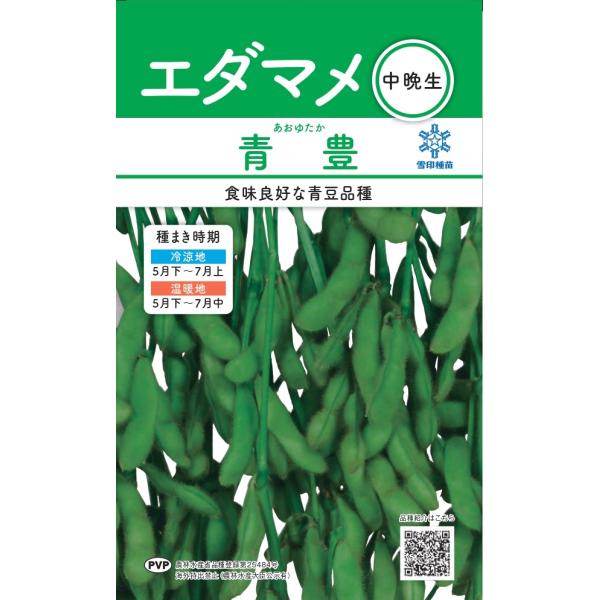 莢色は濃緑で見栄えのする大莢青豆特有の甘みと旨みで食味良好株内での莢の生育が比較的揃う。