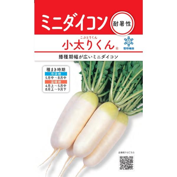 耐暑性・耐寒性に優れ、晩抽性で種まき時期の幅が広い太り、尻づまりが早く、お好みのミニサイズで収穫できる生理障害の発生が少なく、肉質はち密でス入りが遅い。