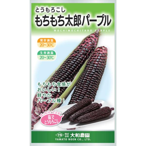 直売所出荷にも向く、もちもち食感が珍しい紫とうもろこし。播種後の収穫目安は80〜85日程度。皮付きで穂長は約25cm、穂重は約300g。草勢極めて強く、根張りが良い。