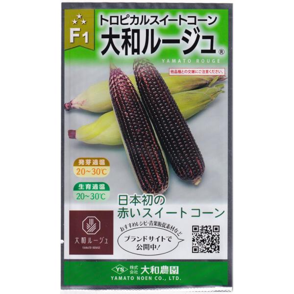 やや糯感がある、食味の良い甘味種。熟期100日の晩生種。糖度は16度程度。穂重は約300g、濃赤紫で穂先のしまりが良い。草勢は強く、背丈は3mを越える。稀に完熟しても赤く着色しない果実が出現する場合があります。(遺伝的要因のため)ご了承くだ...
