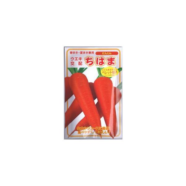 とても甘みが強く、食味が良く、人参の臭みが少ない春まき・夏まき兼用の人参です。人参スティックや生搾りジュースに最適で、そのまま生食で召し上がれます。根色や芯色は色鮮やかな濃い紅色で、サラダや料理の彩りとして活用できます。