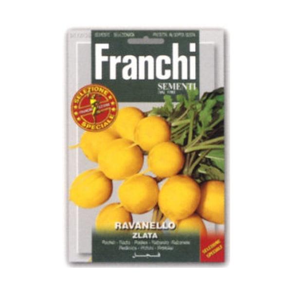 もともとはポーランドから来た品種です。中玉でマイルド、歯ごたえもいいです。表皮は深黄色、中は白く、わずかに紫がかった葉がとても美しくサラダに最適です！