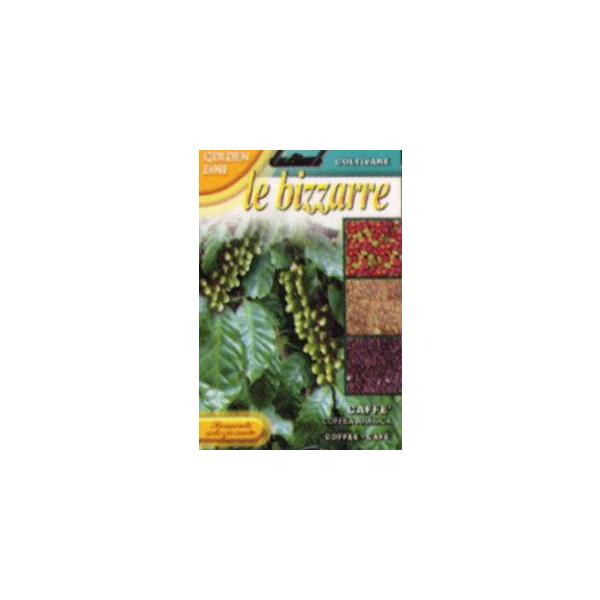 大型の植物で数メートルの大きさに成長します。下垂したダークグリーンの艶やかな葉を茂らせます。小さな実はグリーンから成熟すると赤に変色します。通常１つのサヤに２つのコーヒー豆が入っており、これを焙煎したものがコーヒーになります。アラビカコーヒ...