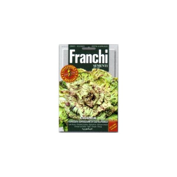 中晩生、葉柄は短く、幅広の葉を幾重にもふさふさと茂らせ、大きな直径に生育します。寒さに当たって、グリーンの葉はしだいにクリーム色に変色し、ワインレッドの斑点が入ります。プレートの装飾やサラダにゴージャスな雰囲気をもたらす葉物です。