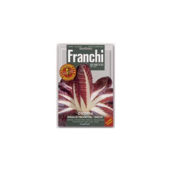 外葉をかきとり、内側の芯部分を食用にします。食用部分は寒さに当たって美しい艶やかなワインレッド色が出てきます。海抜６００〜１５００mくらいの地域で栽培すると理想の色と形が収穫できます。イタリアでもトレヴィーゾ、バドヴァ、ベニス地域特有のチコ...