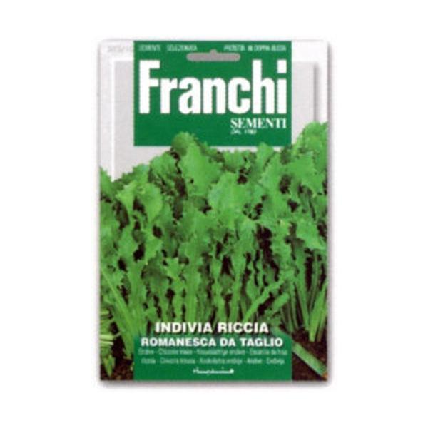 早生種、生育旺盛です。細長く、ノコギリ歯のような葉は上方へ向かって育ち（倒れ込まず）、リーフにはグリーンの一本筋が入ります。タネまきから45日前後ですぐに収穫でき、とう立ちしにくく、春まきにもおすすめです！