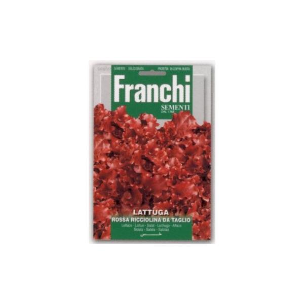 赤い色が非常に美しいフリルリーフのレタスです。種まきから35日程度で収穫できます。赤い色は秋、寒さに当たって色づきます。滑らかな口当たりのいい味の良いレタスです。