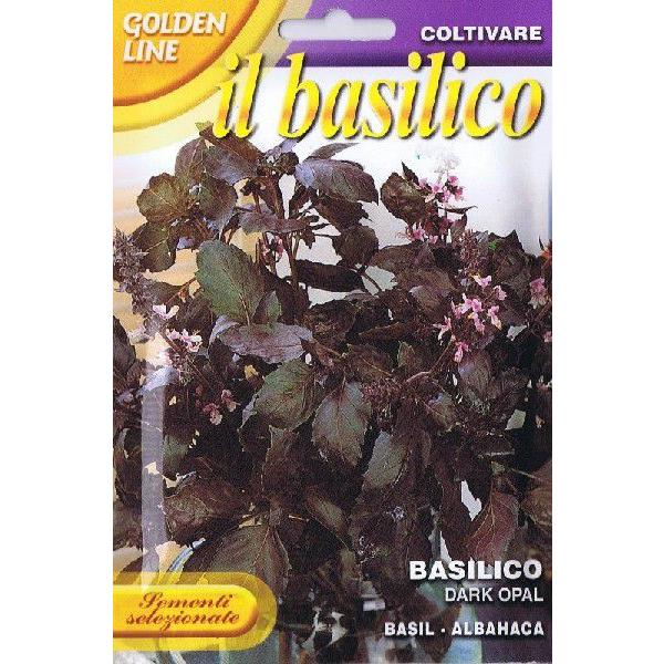 黒紫の葉色がとてもかわいらしいバジルです。樹形や草丈はイタリアンクラシコと同じくらいになります。風味と芳香もなかなかです。葉色を活かして花と共にガーデンに植栽するのも素敵です。