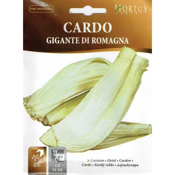 カルドン、日本ではあまり見かけない、耳にもしない珍しい野菜です。カルドン（カルド）・ロマーニャ（Gigante      di Romagna）はイタリアロマーニャ地方発祥の品種で茎が太いのが特徴です。苦味があるので茹でてから調理します。ま...