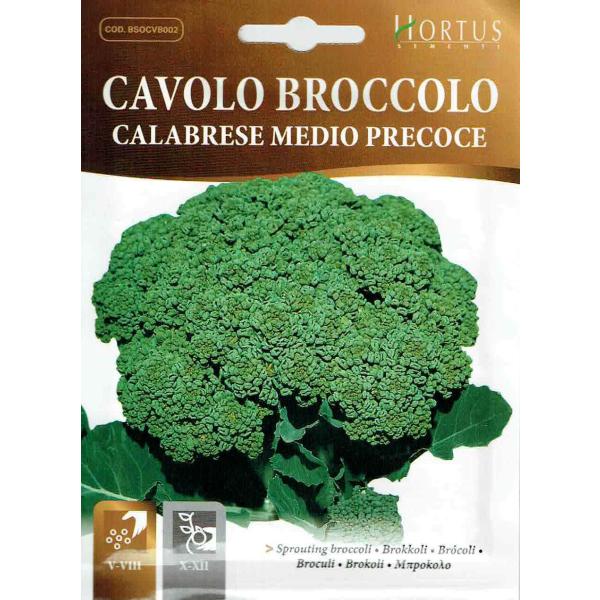 ビタミンCや植物繊維を多く含み栄養価の高いブロッコリーはイタリアのマーケットでも大変人気の野菜です。スプラウティングブロッコリー・プレコーチェ（Broccolo calabrese medio precoce）は早生種で収穫量も高い品種です...