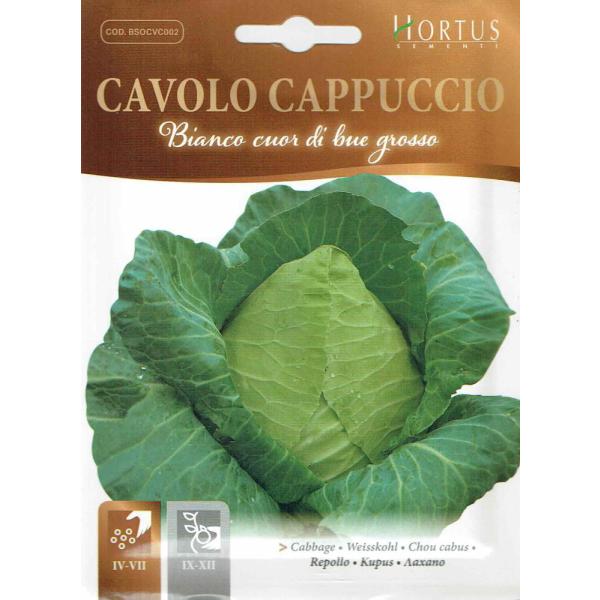 キャベツ・グロッソ（Cappuccio bianco cuor di bue grosso）は三角頭のとがった形が珍しいキャベツです。グレーがかったグリーンの葉も美しく、イタリアで古くから栽培されている品種です。キャベツ・グロッソは茎が短く...