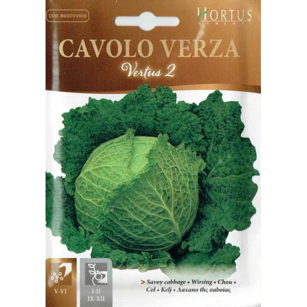 サボイキャベツはちりめんキャベツとも呼ばれ、一般的にちりめん状の美しい葉が特徴です。サボイキャベツ・ベルタス2（Verza Vertus 2）は中生種、グレイグリーンのちりめん葉が美しく、パリパリとした歯ごたえがあり、味は絶品と3拍子揃った...