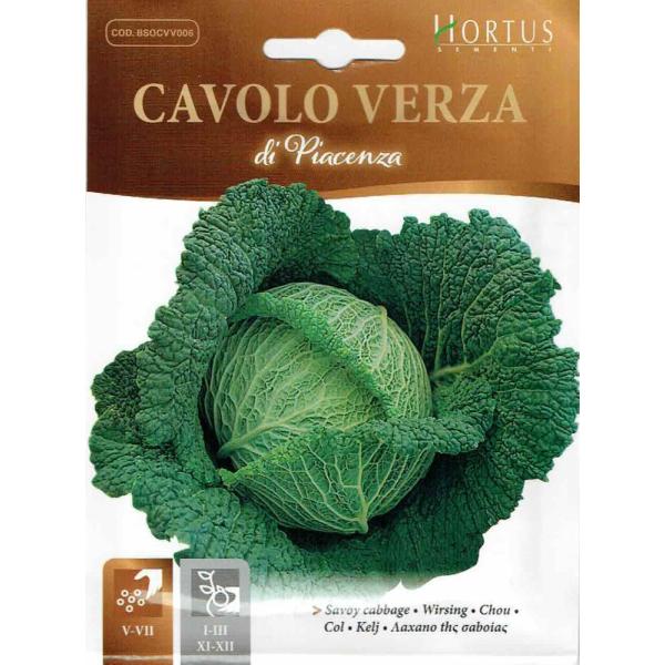 サボイキャベツはちりめんキャベツとも呼ばれ、一般的にちりめん状の美しい葉が特徴です。サボイキャベツ・ピアツェンツァ（Verza di Piacenza）はイタリアで需要の高い大変人気のキャベツです。葉はダークホワイトグリーン、大きく、硬く締...