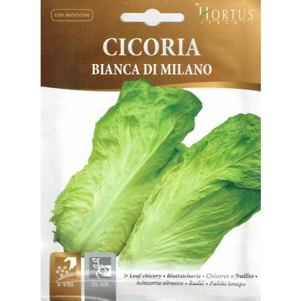 リーフチコリー・ミラノ（Bianca di Milano）はその名の通り、イタリア　ミラノ発祥の姿も形もローメインレタス似、シュガーローフタイプのリーフチコリーです。他のリーフチコリーに比べ、苦味が少なく甘味が多いのが特徴です。しっかりと結...