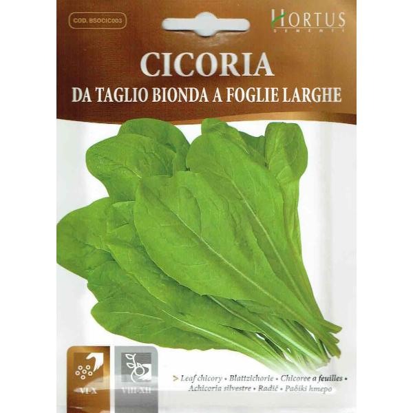 リーフチコリー（チコリア）・タグリオ　ビオンダ（Da taglio bionda a foglie larghe）はダークグリーンの刀葉でたいへん丈夫な品種です。葉はなめらかで口当たり香りも大変によく、イタリアン、フレンチサラダにかかせない...