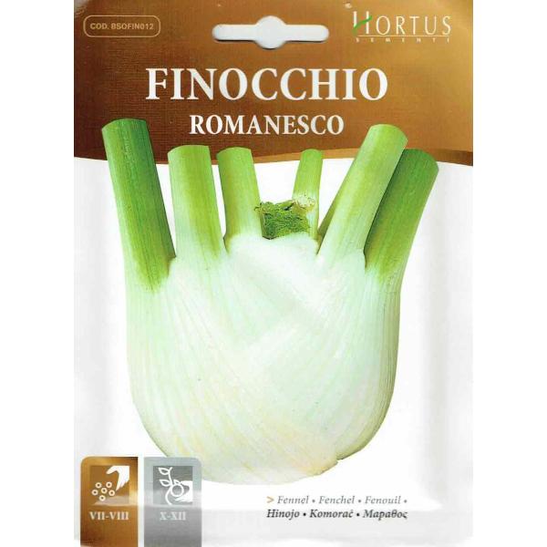 フェンネル（フィノッキォ）・ロマネスコ（Romanesco）はイタリア　ローマ発祥のクラシカルなフローレンスフェンネルです。アロマティックな香りとほのかな甘みがイタリアで大人気です。この品種は特に株元が大きく美しく、素晴らしい味のフェンネルです。